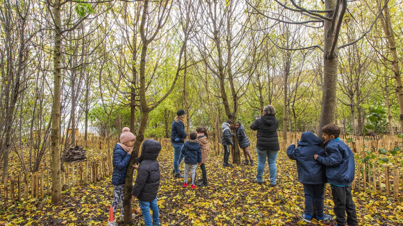 RETOUR SUR LE SUIVI DE L’EVOLUTION DE LA FAUNE ET FLORE A L’ECOLE DES ...